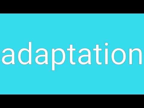 Adaptation Definition & Meaning