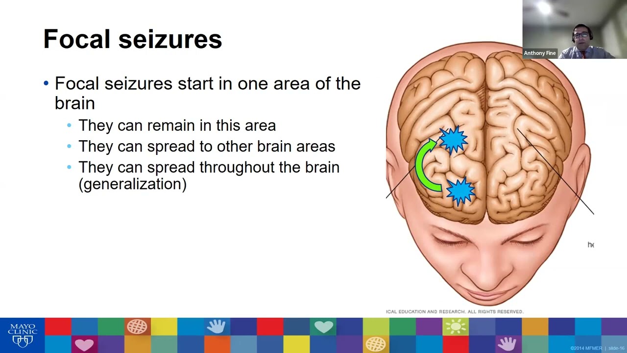 Wellness Wednesday Webinar: Childhood Epilepsies and Seizure Types
