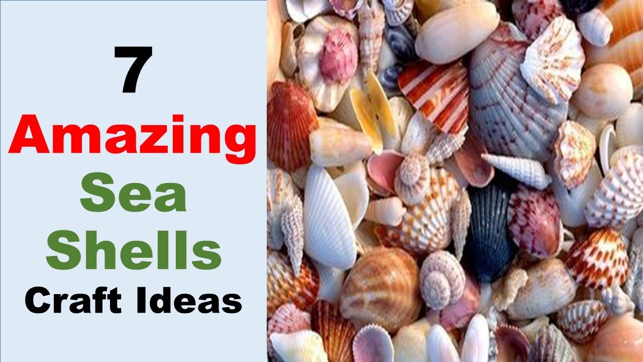 7 Amazing Sea Shell Craft Ideas | Reuse Sea shells | Craft Stack