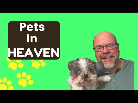 What the Bible Reveals about your Pet's Destiny!