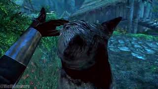 How To Play With Cats In Skyrim at Skyrim Special Edition Nexus - Mods ...
