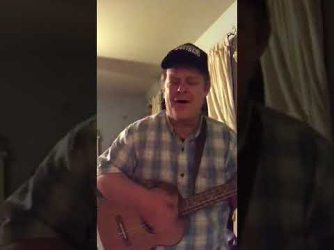 She’s got a new spell ukulele cover