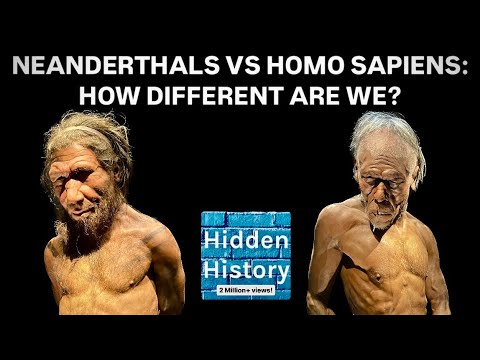 Neanderthals and modern humans ‘must be classed as separate species ...