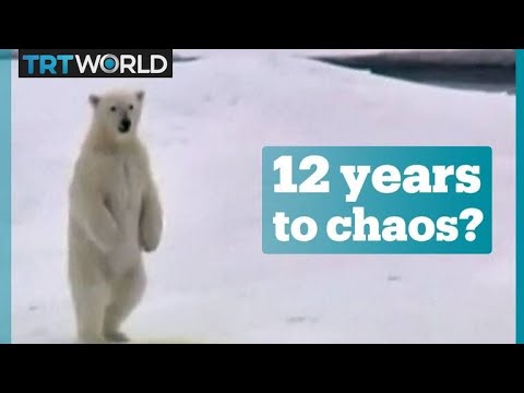 UN gives 2030 as climate change deadline