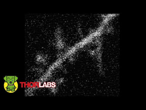 High Resolution Live Calcium Imaging