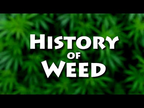 The History of Cannabis: From Illegal to Medicinal