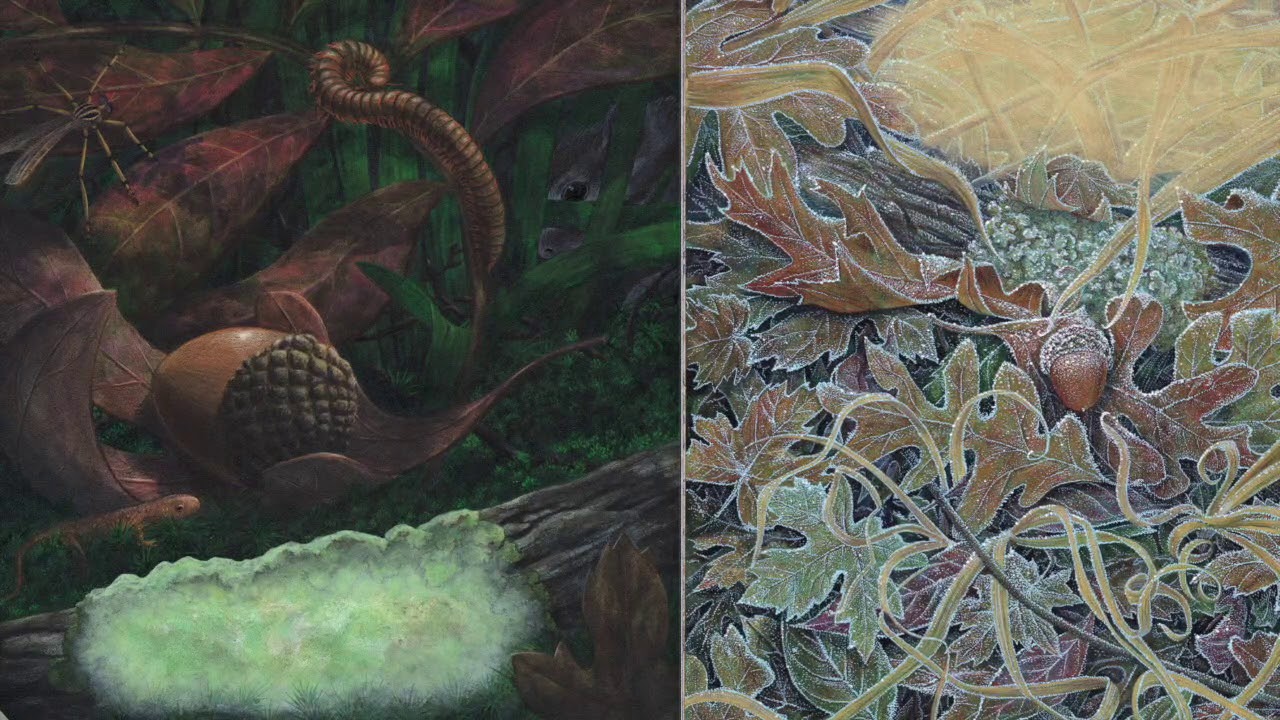 In A Nutshell book trailer   HD 720p