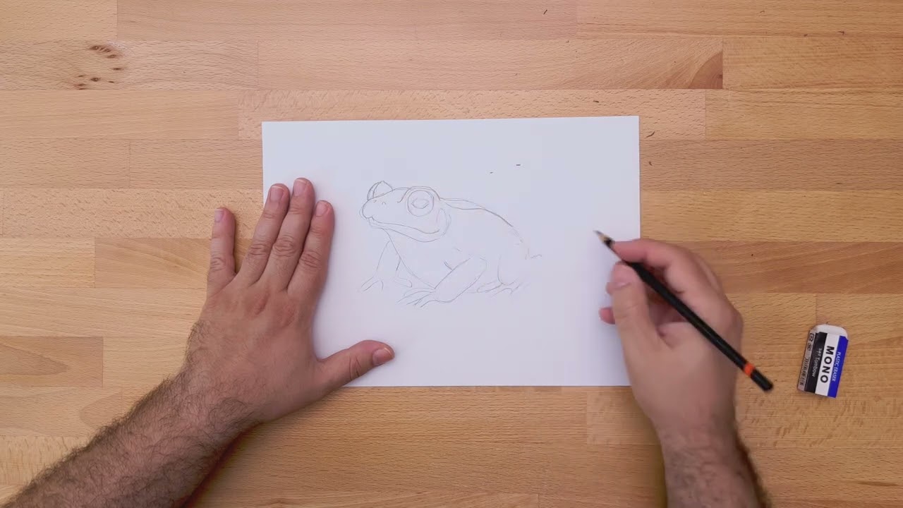 How To DRAW A FROG Guide [For Beginners]