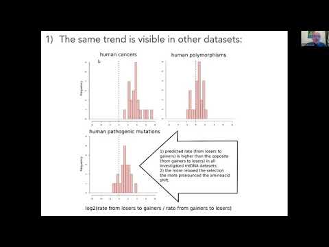 A billion-year trend of amino acid substitutions in the mitochondrial genome