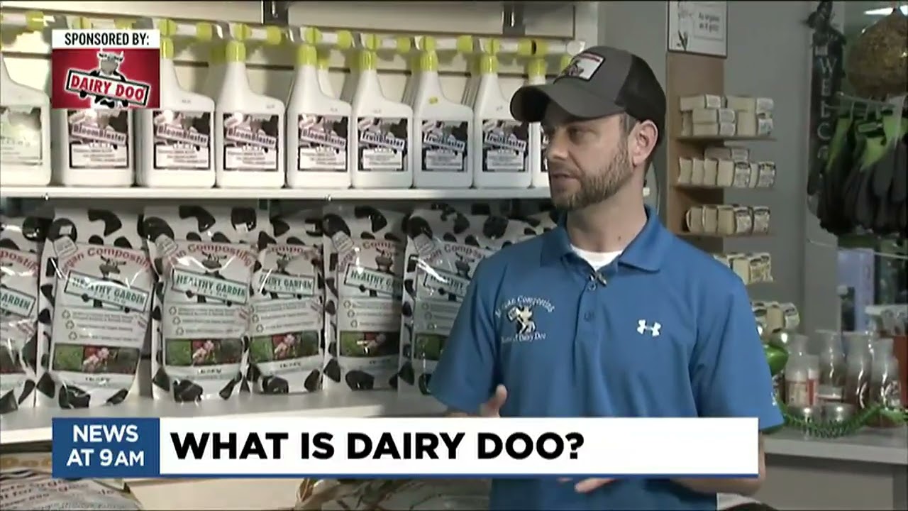 What is Dairy Doo?