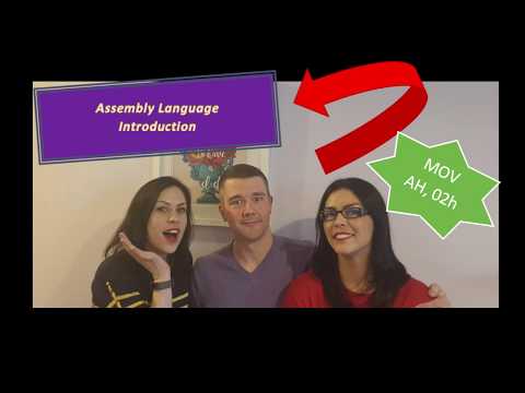 Assembly Language - Basic Introduction