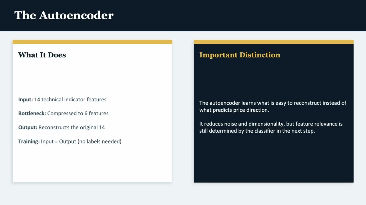 Final Presentation FI424 | Peyton Fernandes