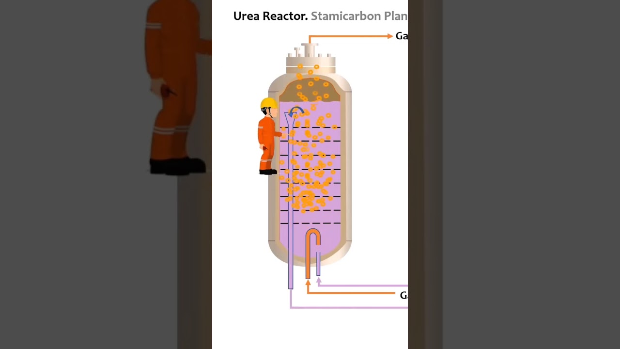Urea reactor. Training. Fertilizer Academy & UreaKnowHow