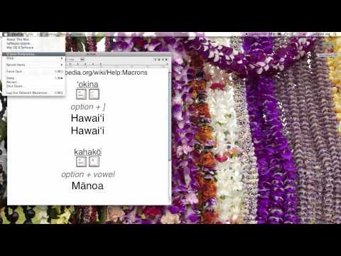 Keyboard hawaiian okina - pondwes