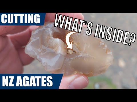 Hidden treasures - cutting some agates from a recent river adventure - rockhounding in New Zealand