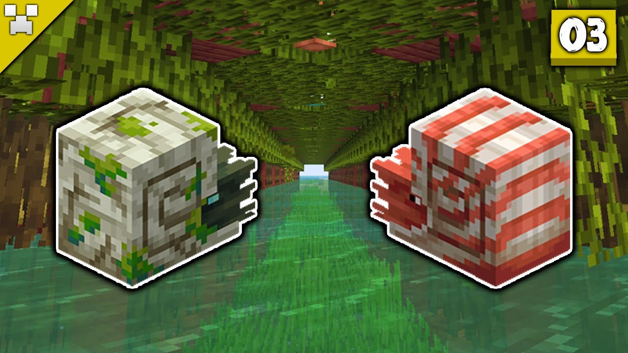 I Made a Nautilus Highway! | Python's World S2 (Minecraft Survival Let's Play)