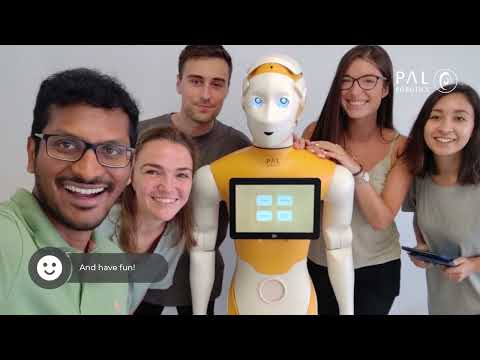 PAL Robotics | Web User Interface - Teleoperation