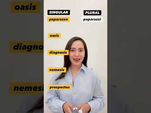 What is the plural form of the following words?