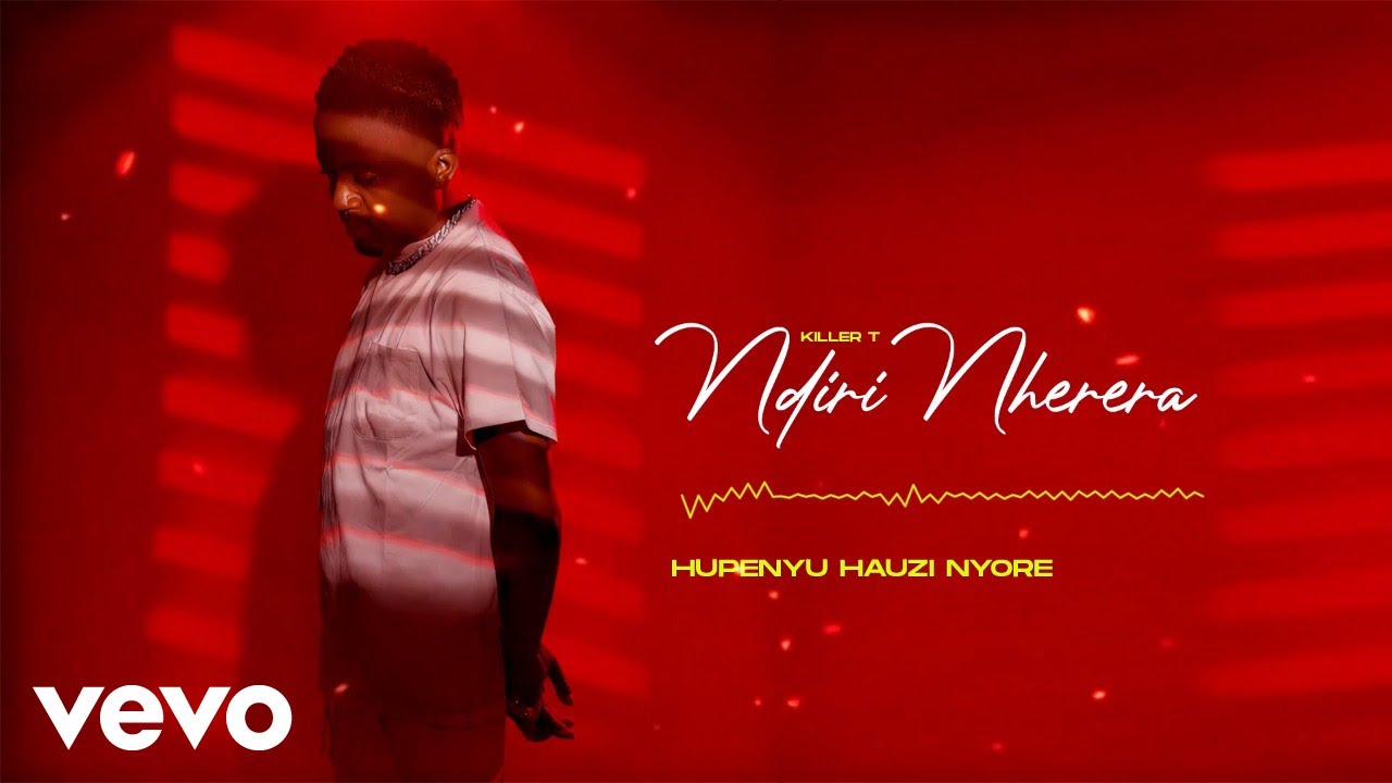 How Much Does 'HUPENYU HAUZI NYORE' Make? | Earnings | Net Worth | Popnable