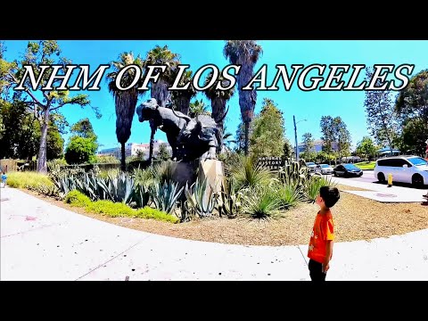 Inside the Stunning Natural History Museum of Los Angeles 4K