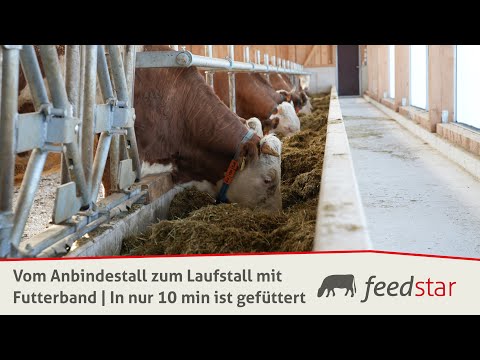Vom Anbindestall zum Laufstall mit Futterband - Baubegleitung Betrieb Hermann