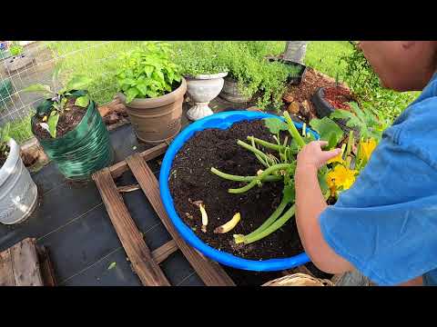 go pro garden FIRST NEW COMPUTER UPLOAD