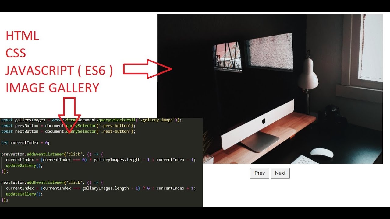 Interactive Image Gallery Tutorial | HTML, CSS, JavaScript