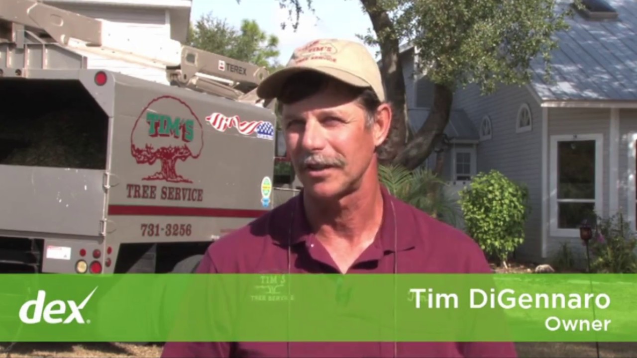 Tim's Tree Service