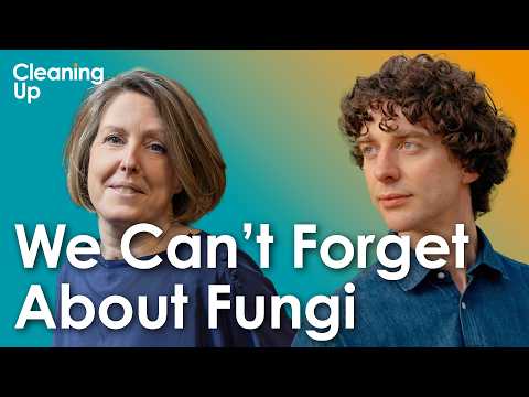 How Fungi Shape Our World, From Carbon Sinks to Zombie TV | Ep217: Merlin Sheldrake