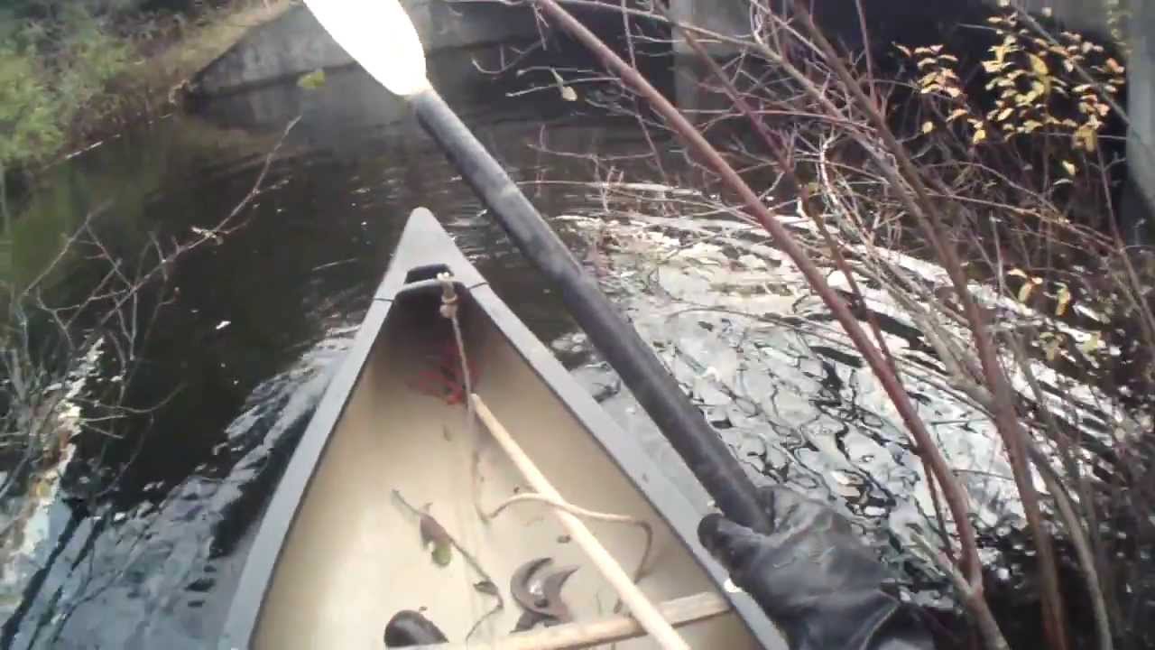 Beaver Cage Trapping with Jim Comstock,  http://www.comstockcustomcage.com