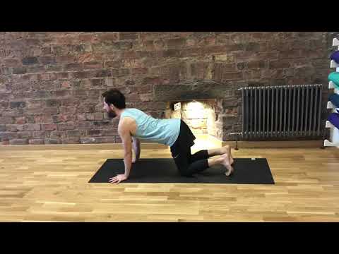 Cat, cow, child's pose, downward dog