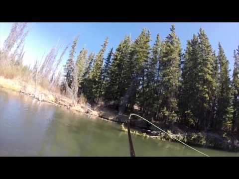 Arctic Grayling Fly Fishing - Yukon Territory