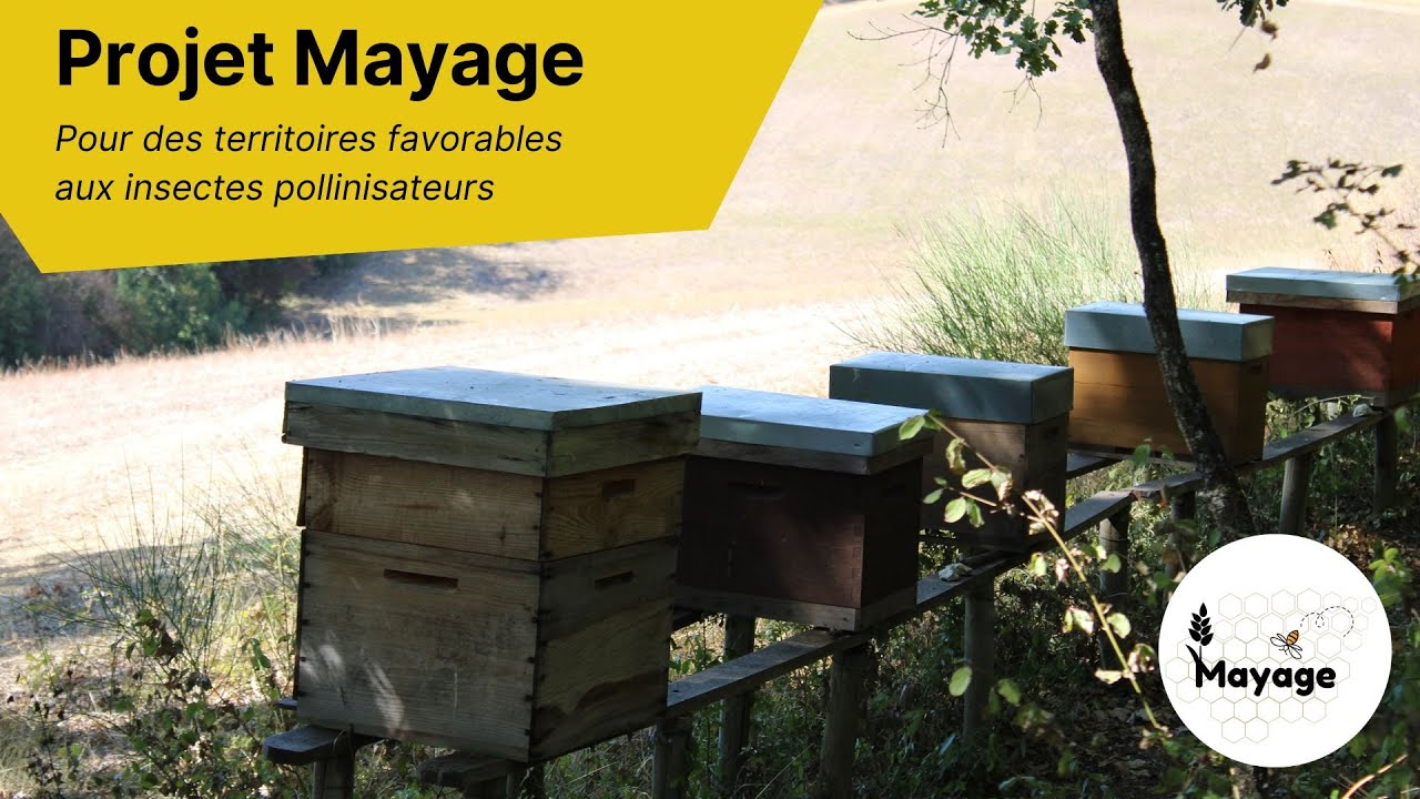 [Mayage] Témoignage de Johan, maraîcher Biologique à Buzon (65)