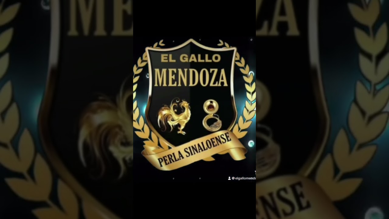 Insomnio el gallo Mendoza versión cumbia 