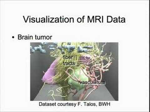 Show Me What's Wrong Inside: Making 3D Medical Data Accessible to Everyone