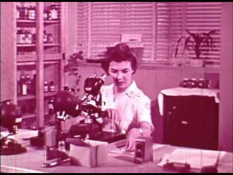 The human cell and the cytologist
