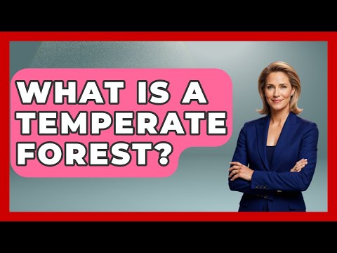 What Is A Temperate Forest? - Exploring Campgrounds