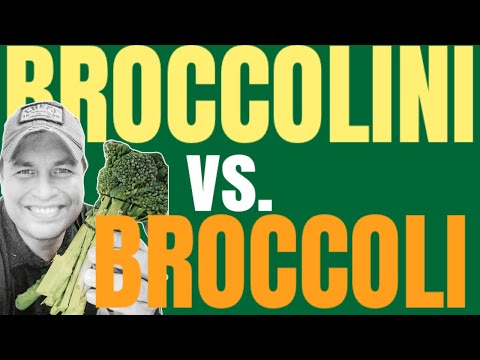 The Final Showdown: Broccoli vs Broccolini | Chefs Produce Co.