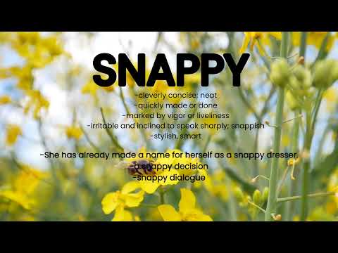 SNAPPY meaning • Growing English vocabulary