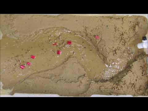 Meandering Stream Lab