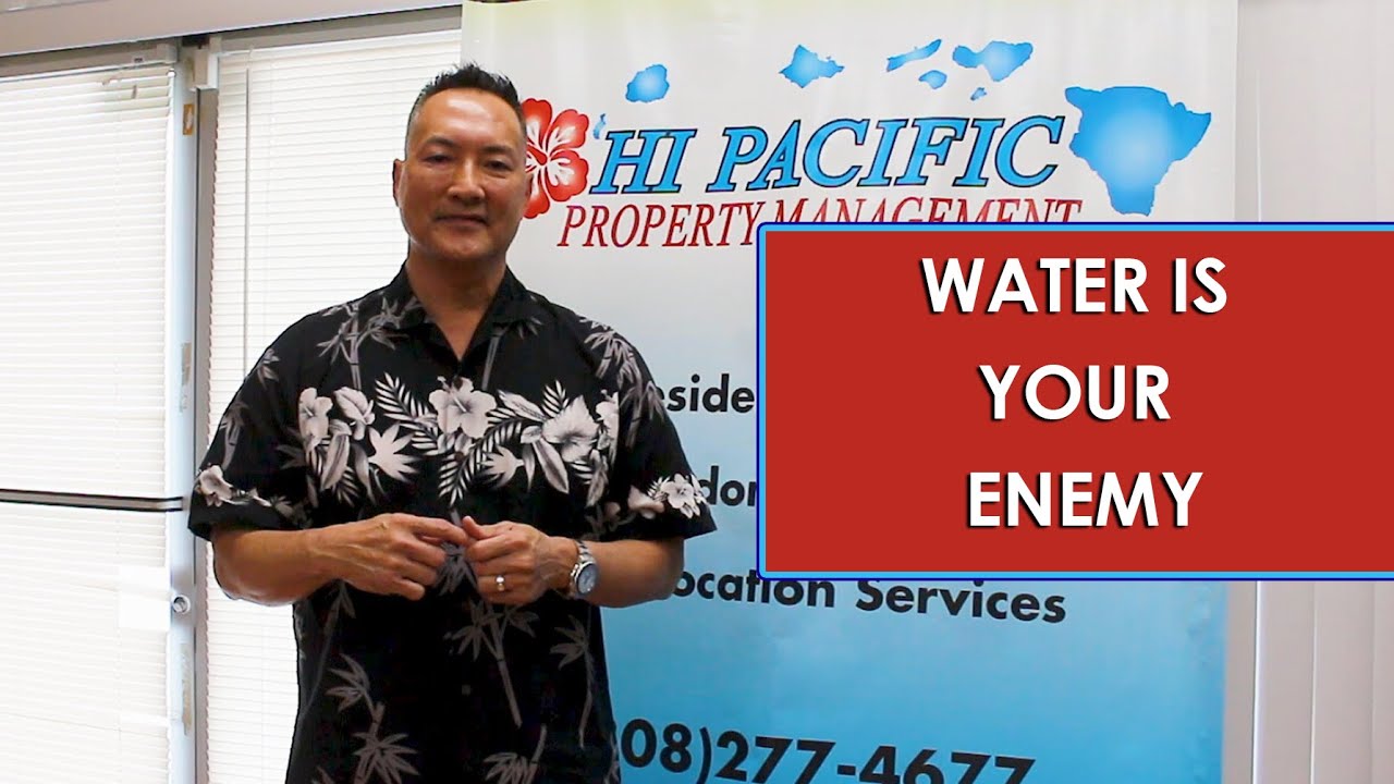 Landlords: Never Ignore Water Damage