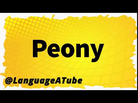 Peony Pronunciation ⚡️ How To Pronounce Peony!