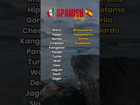 Unlock Spanish: Word-for-Word|#viral #youtube #viralvideo