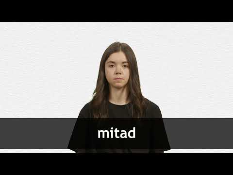 English Translation of “MITAD” | Collins Spanish-English Dictionary
