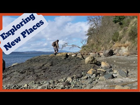 Exploring the Shoreline and Finding Wildlife Treasure