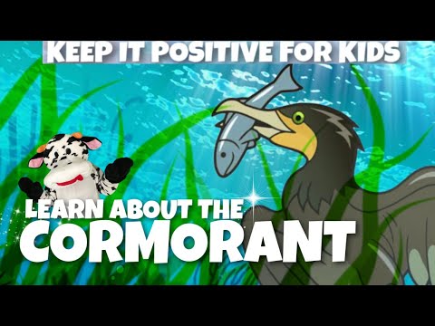 Fascinating Facts about Cormorant Birds Revealed