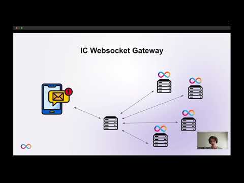 Omnia - Backdrop Build