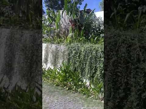 SULUBAN BEACH VILLA - ULUWATU - BALI