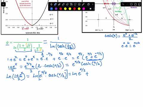 09 - Risk appetite ψ and Systematic Risk β