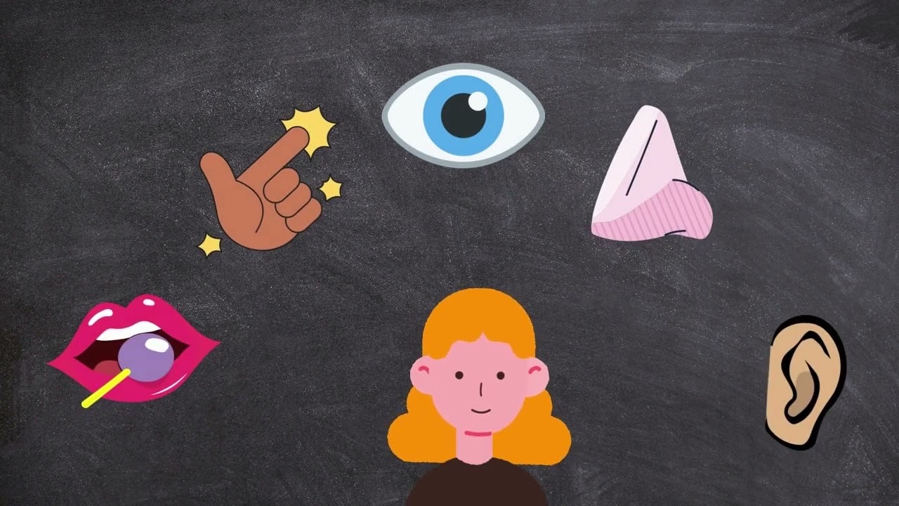 Writing Tip: Subjective VS Objective Language